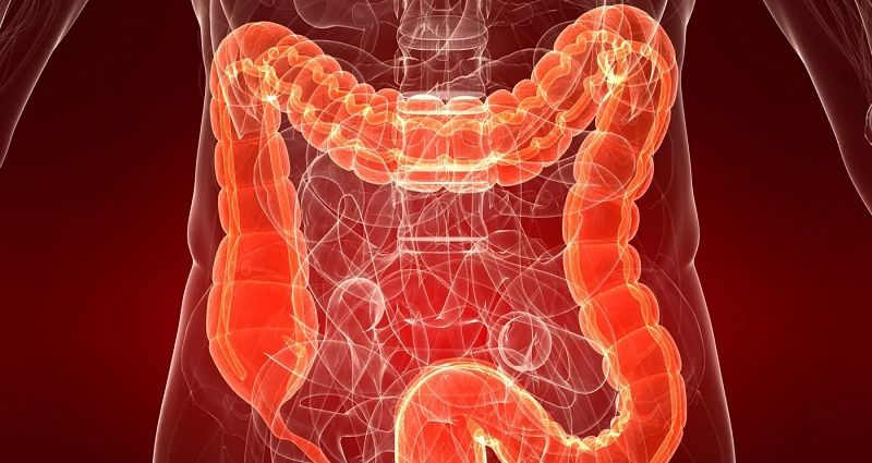 Bien-être : Quelques conseils pour améliorer son transit intestinal