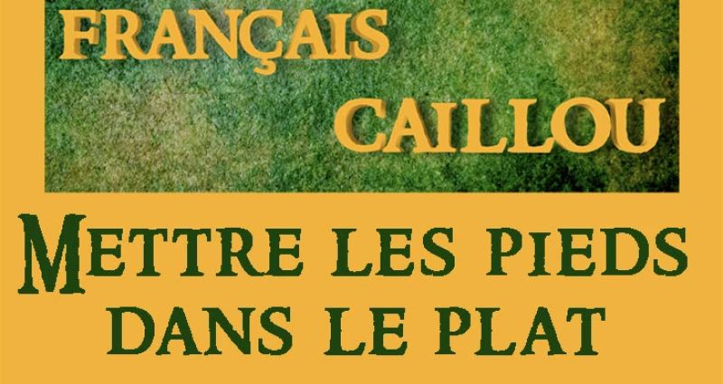 Définition du jour : "Mettre les pieds dans le plat"